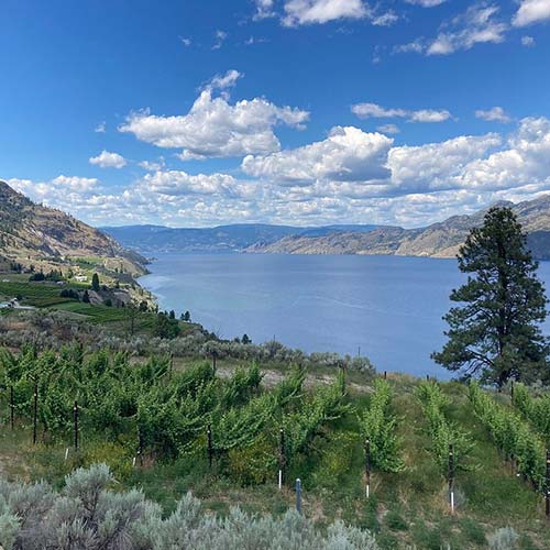 Visitor's Guide - Live In Lake Country BC